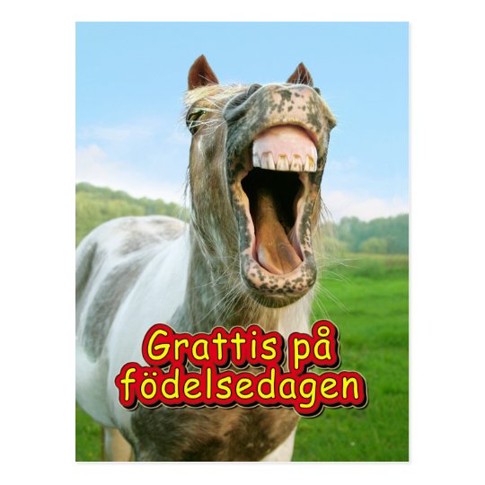 Grattis på födelsedagen vykort | Zazzle.se