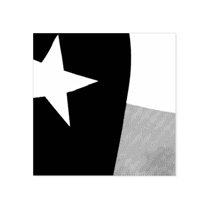 Texas Flagga Rubber Frimärke Stämpel | Zazzle.se